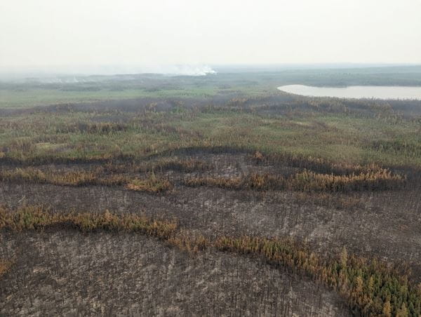 Image Gallery | SPSA