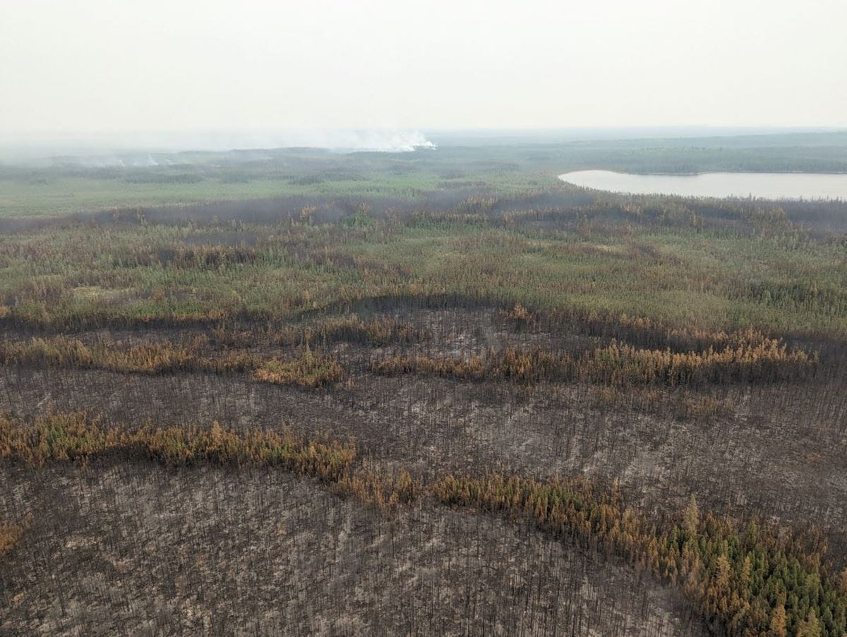 Image Gallery | SPSA