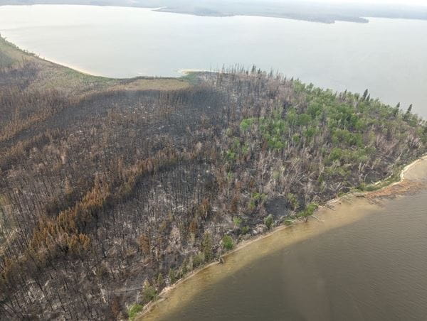 Image Gallery | SPSA